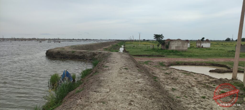 Flooding cuts off roads, threatens human lives in Unity State - Eye Radio
