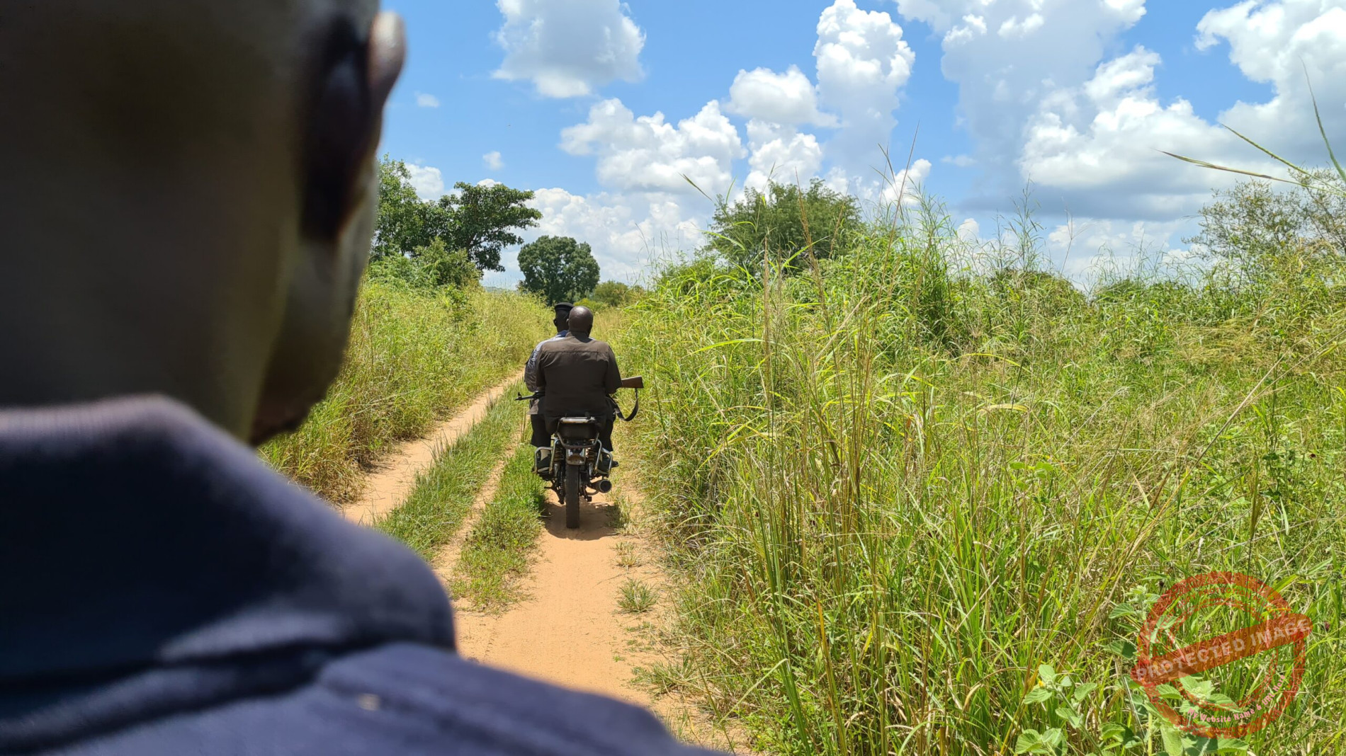 The distressing impact of child abduction on families