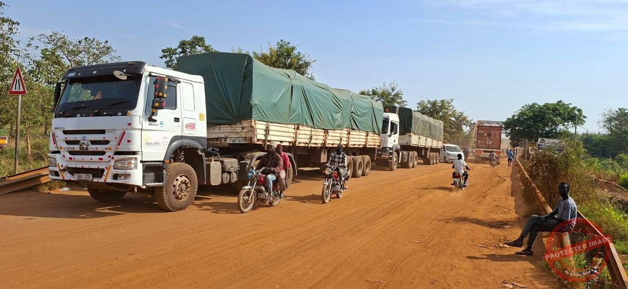 SSNBS rejects eight trucks of non-compliant maize at Nimule border