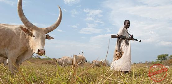 14 killed, 23 injured in Rubkona cattle camp attack, Unity State Says ...